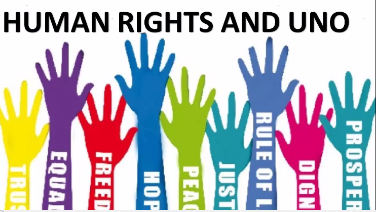 Human Rights Organisations Image