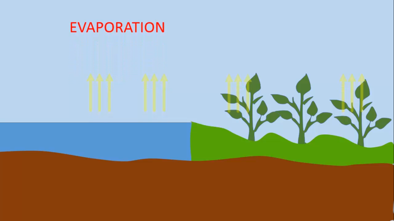 Evapotranspiration Image