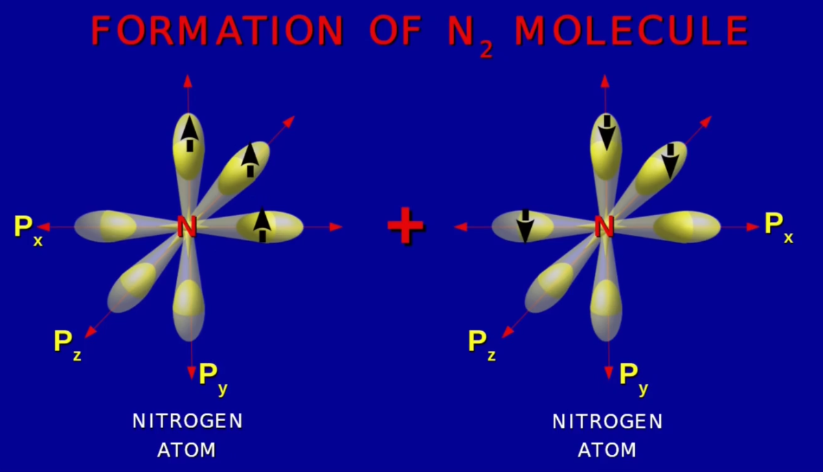 8. CHEMICAL BOND EM - 13. VALANCE BOND THEORY formation Cl2,O2,N2 EM Image